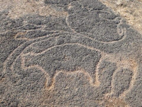 Discovering the Rich History of Konkan Petroglyphs | Dongarmatha